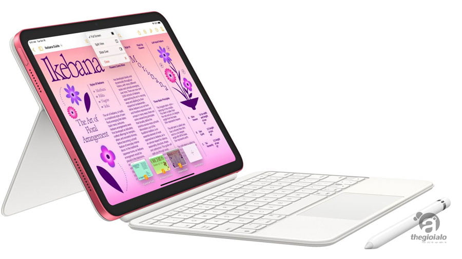 iPad 10 WiFi + Cellular 64GB | Thế Giới A Lô